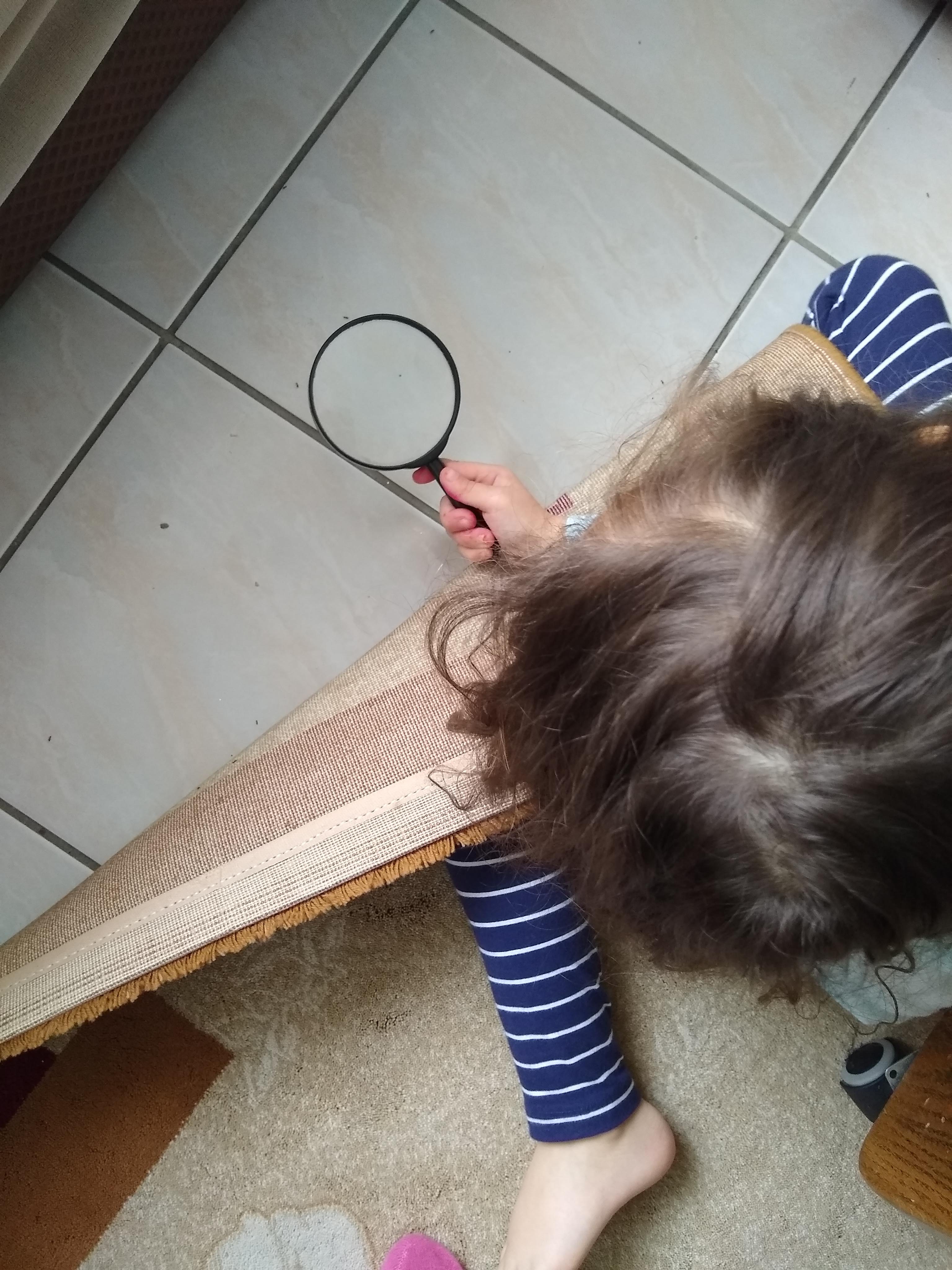 Spring Mini Unit : Ants - The Multilingual Home