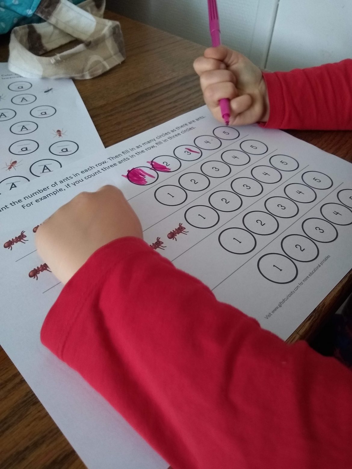 Spring Mini Unit : Ants - The Multilingual Home