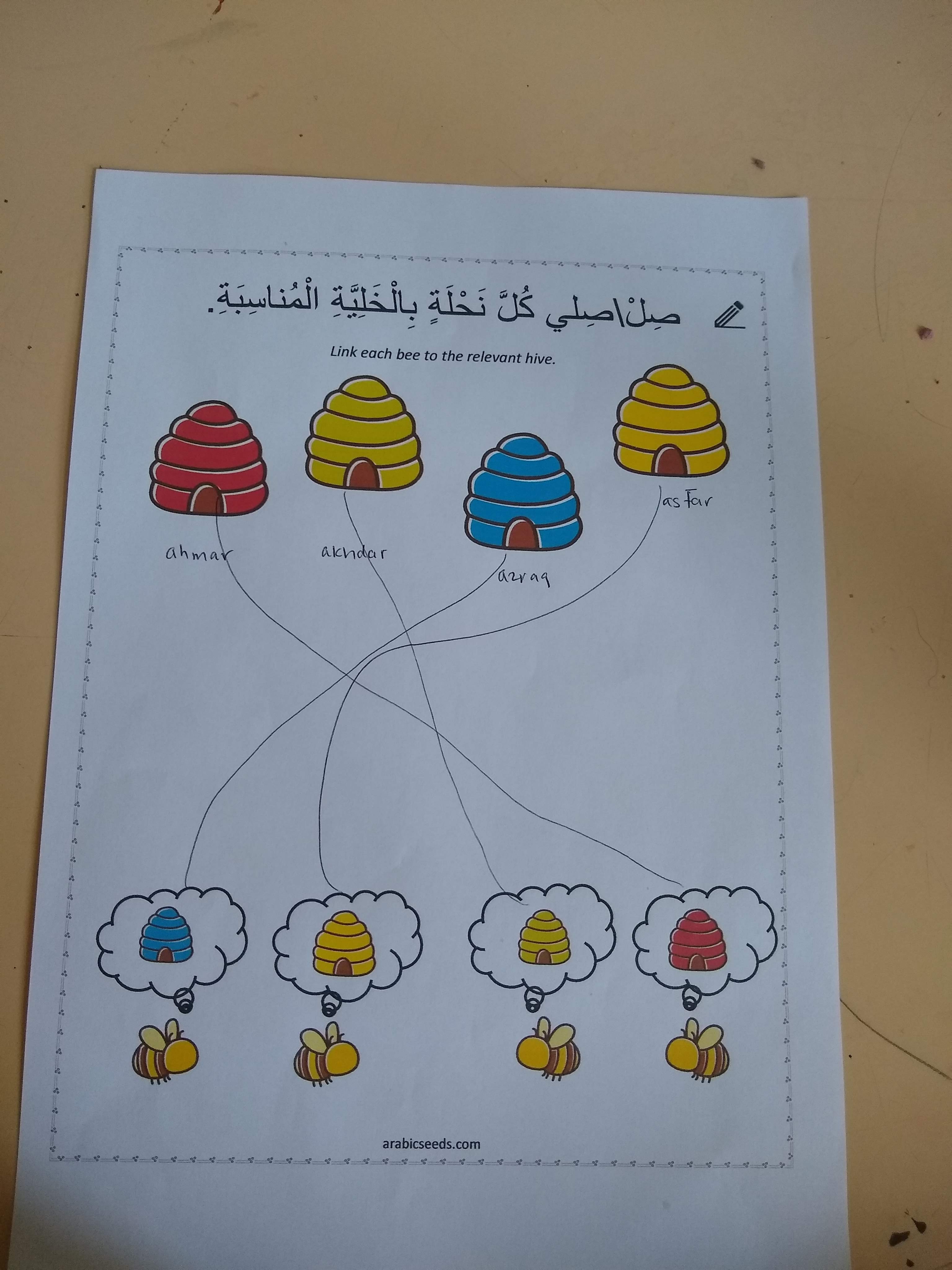 Review : Arabic Seeds - The Multilingual Home