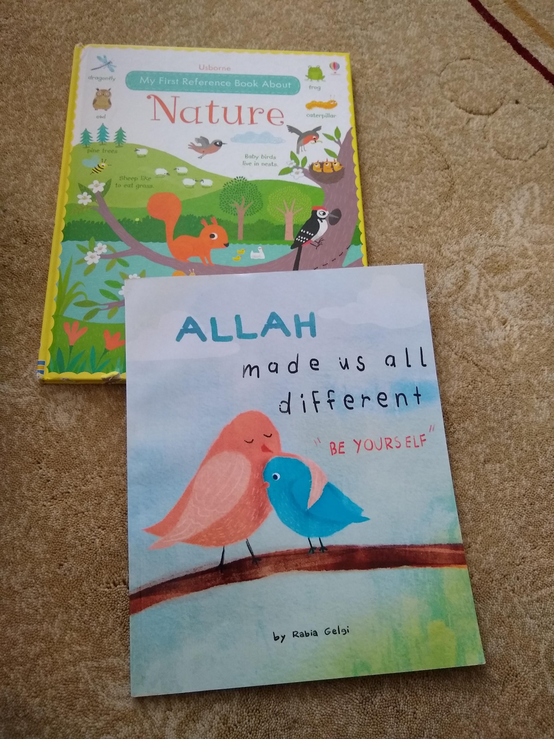 Our Family's Home Library - The Multilingual Home