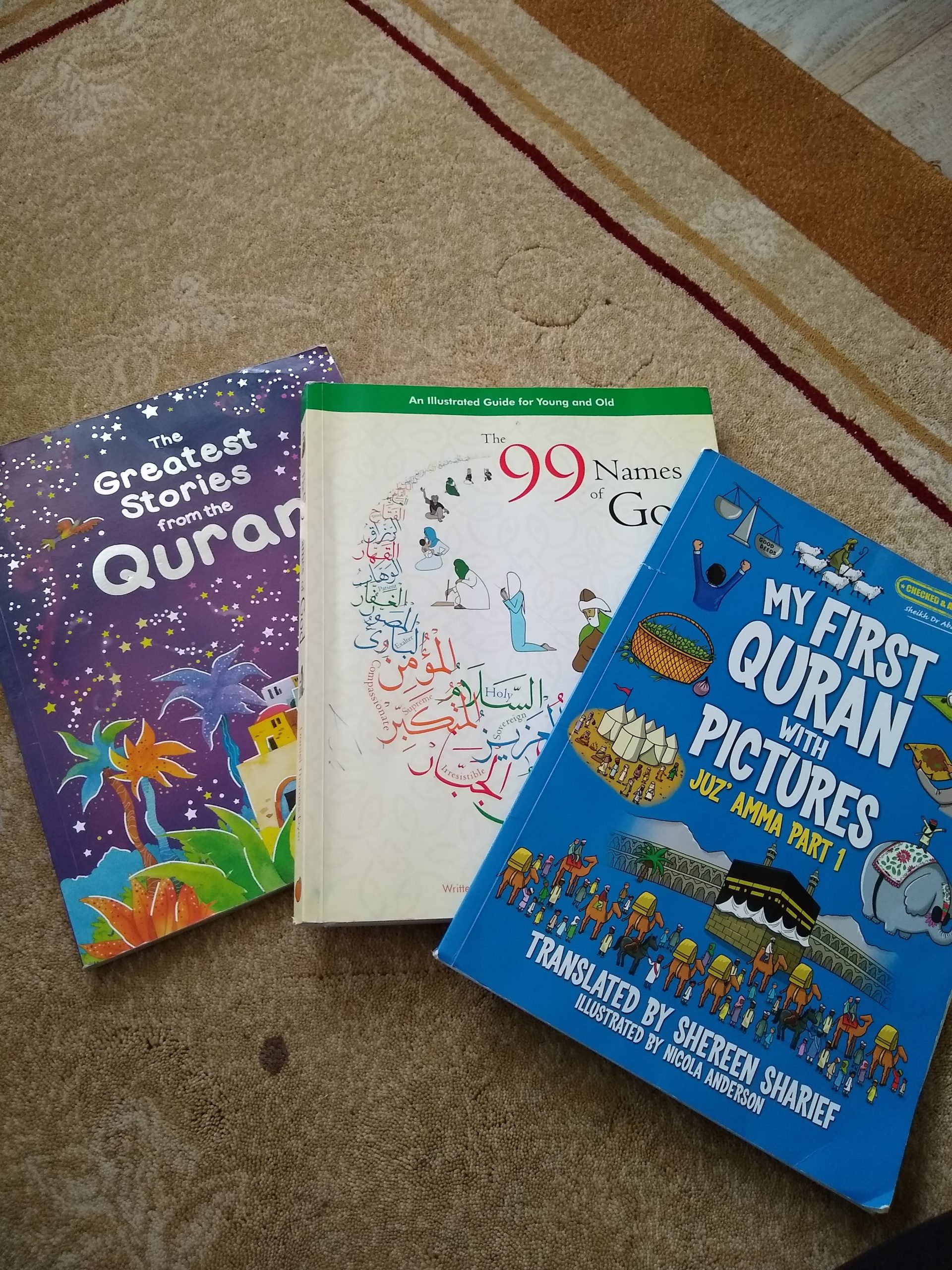 Our Family's Home Library - The Multilingual Home