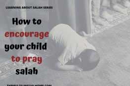 Review : Arabic Seeds - The Multilingual Home