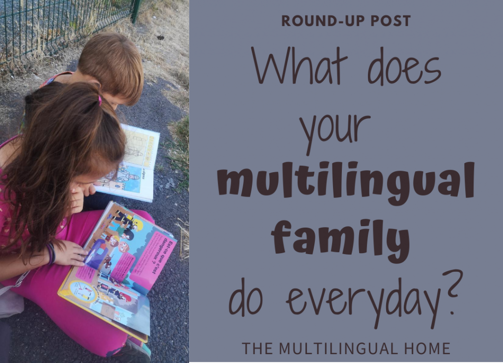 The Multilingual Home - a home is where learning languages begin