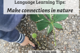 Review : Arabic Seeds - The Multilingual Home